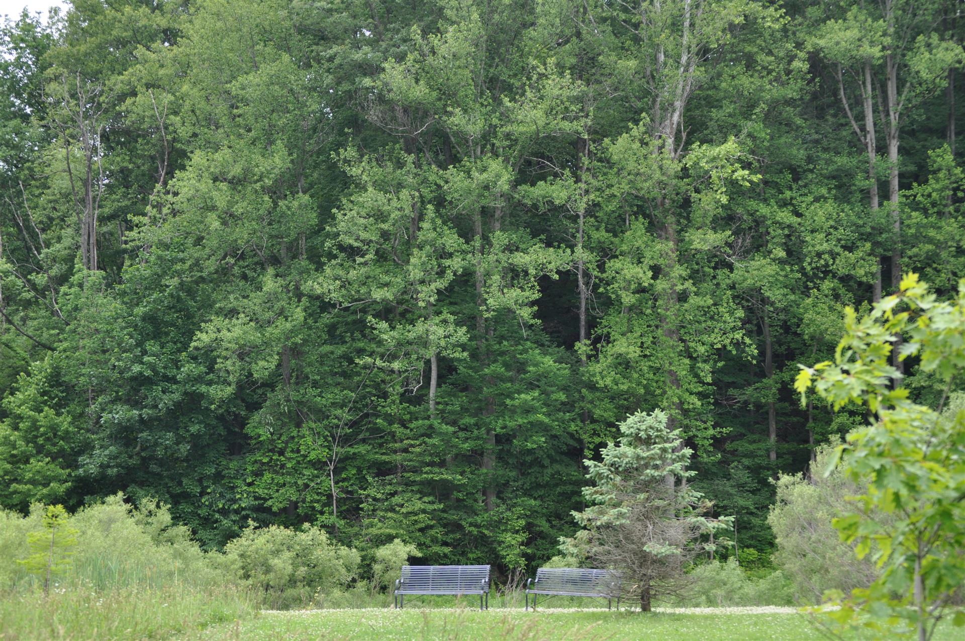 Locations Hub - Chagrin Falls - Forest Ridge Village Park