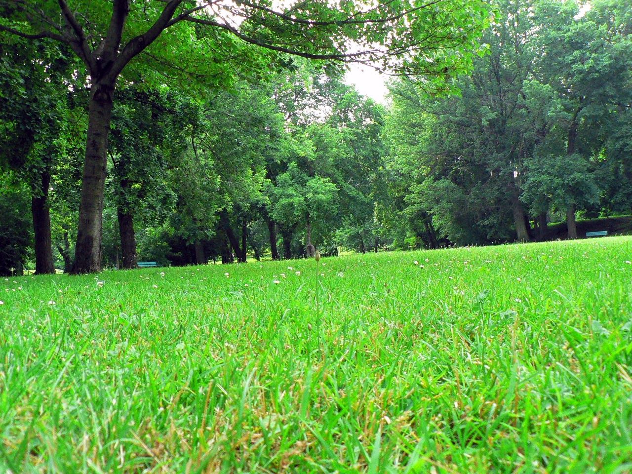 Locations Hub - Cleveland Heights - Cumberland Park