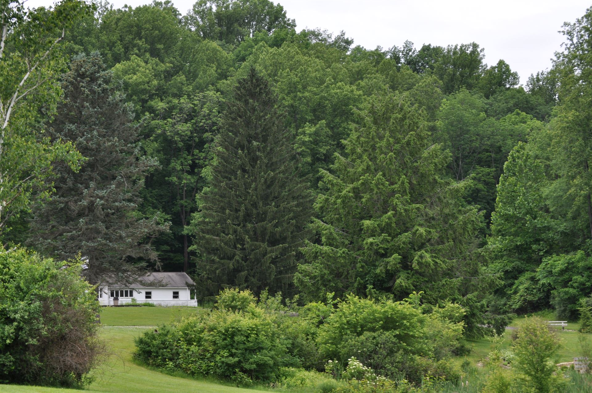 Locations Hub - Chagrin Falls - Forest Ridge Village Park